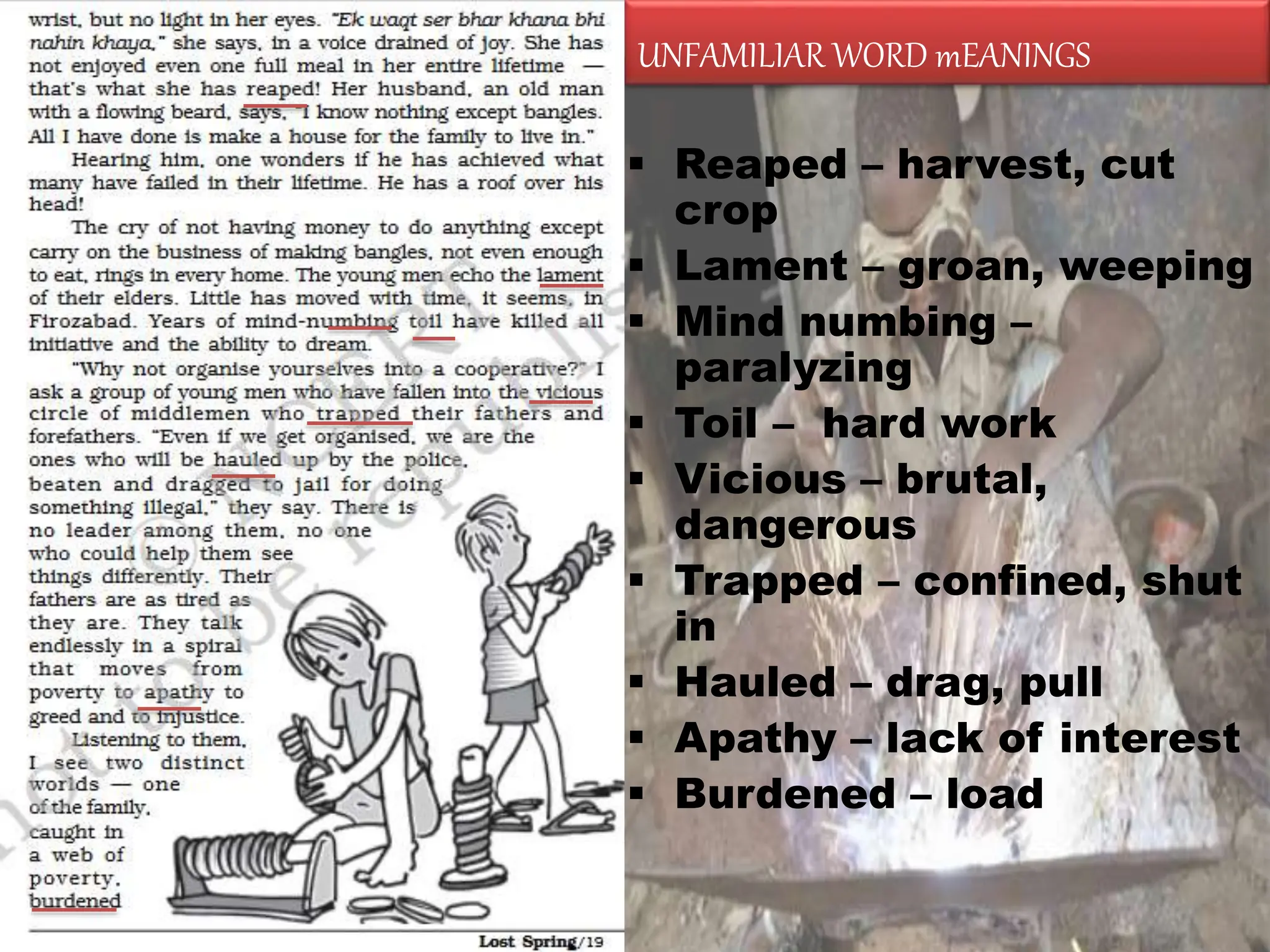 ch - LOST SPRING ppt for class XII (12th) | PPTX