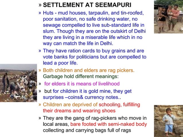 Lost spring ppt | PPT