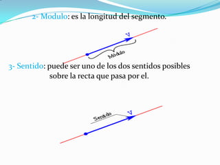 Los vectores y sus metodos | PPTX