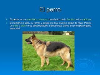 Los Vertebrados | PPT