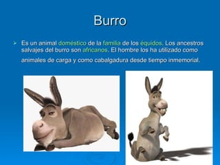 Los Vertebrados | PPT