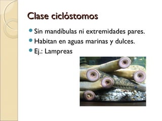 Los vertebrados | PPT