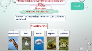 LOS VERTEBRADOS.pptx