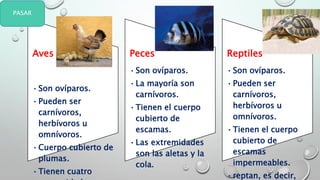 LOS VERTEBRADOS.pptx