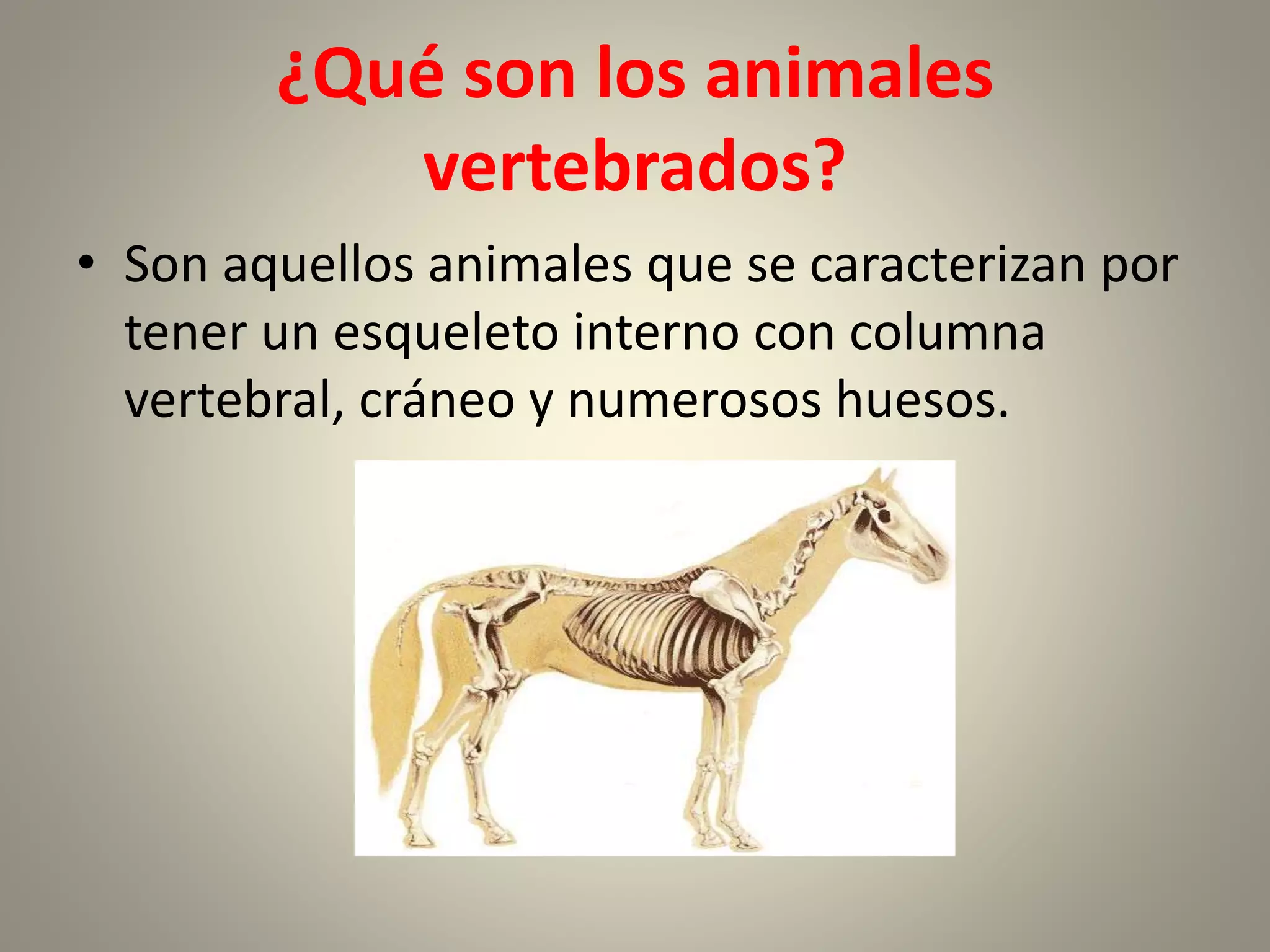 Los vertebrados y su clasificación | PPT