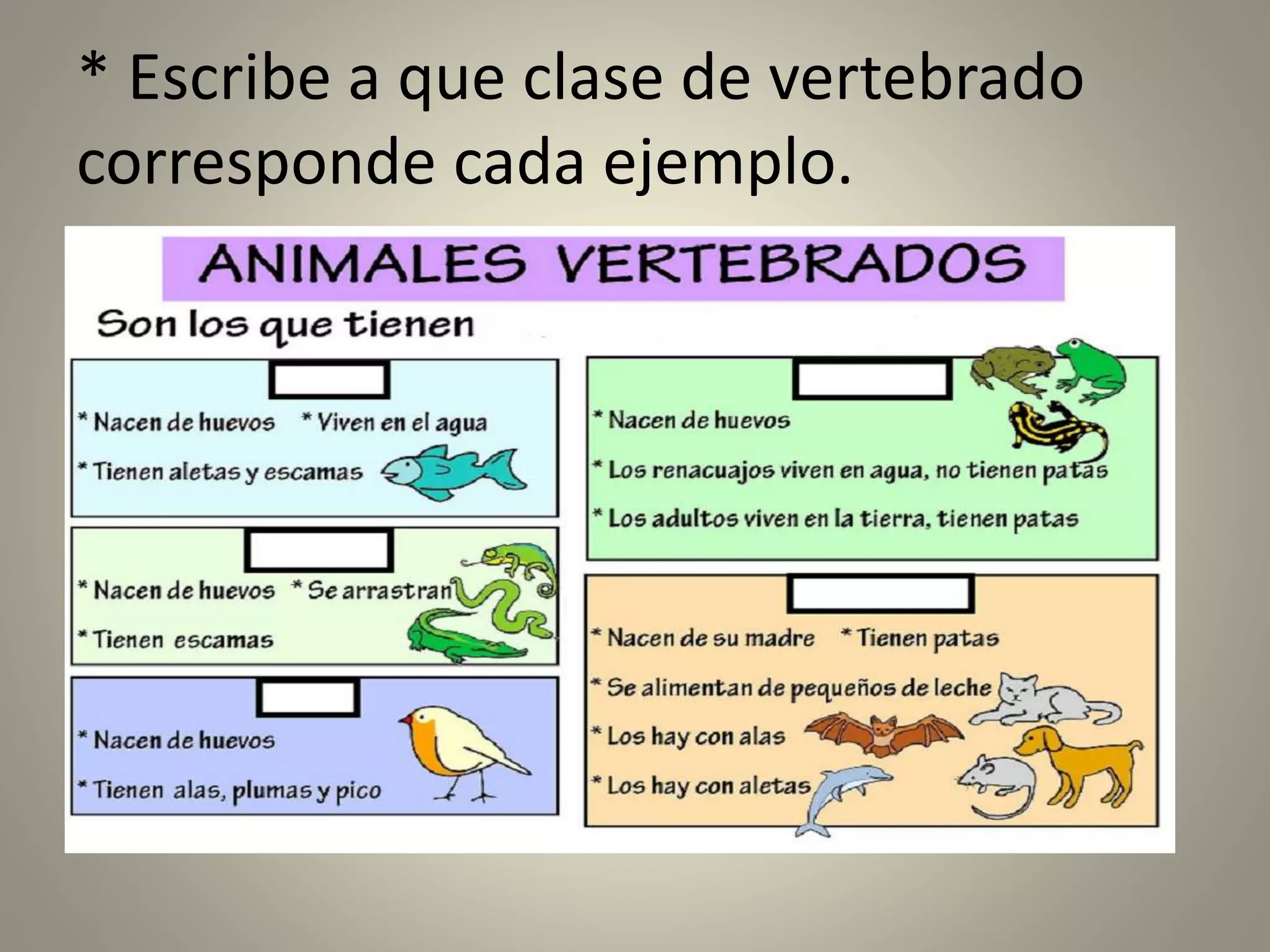 Los vertebrados y su clasificación | PPT