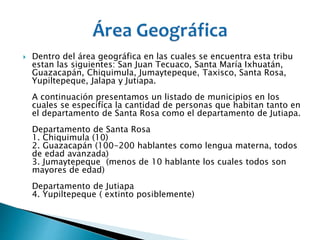 Los xincas | PPTX