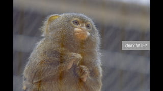 Most Bizarre Programming Languages Ever Created | PDF