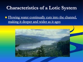 Lotic | PPTX