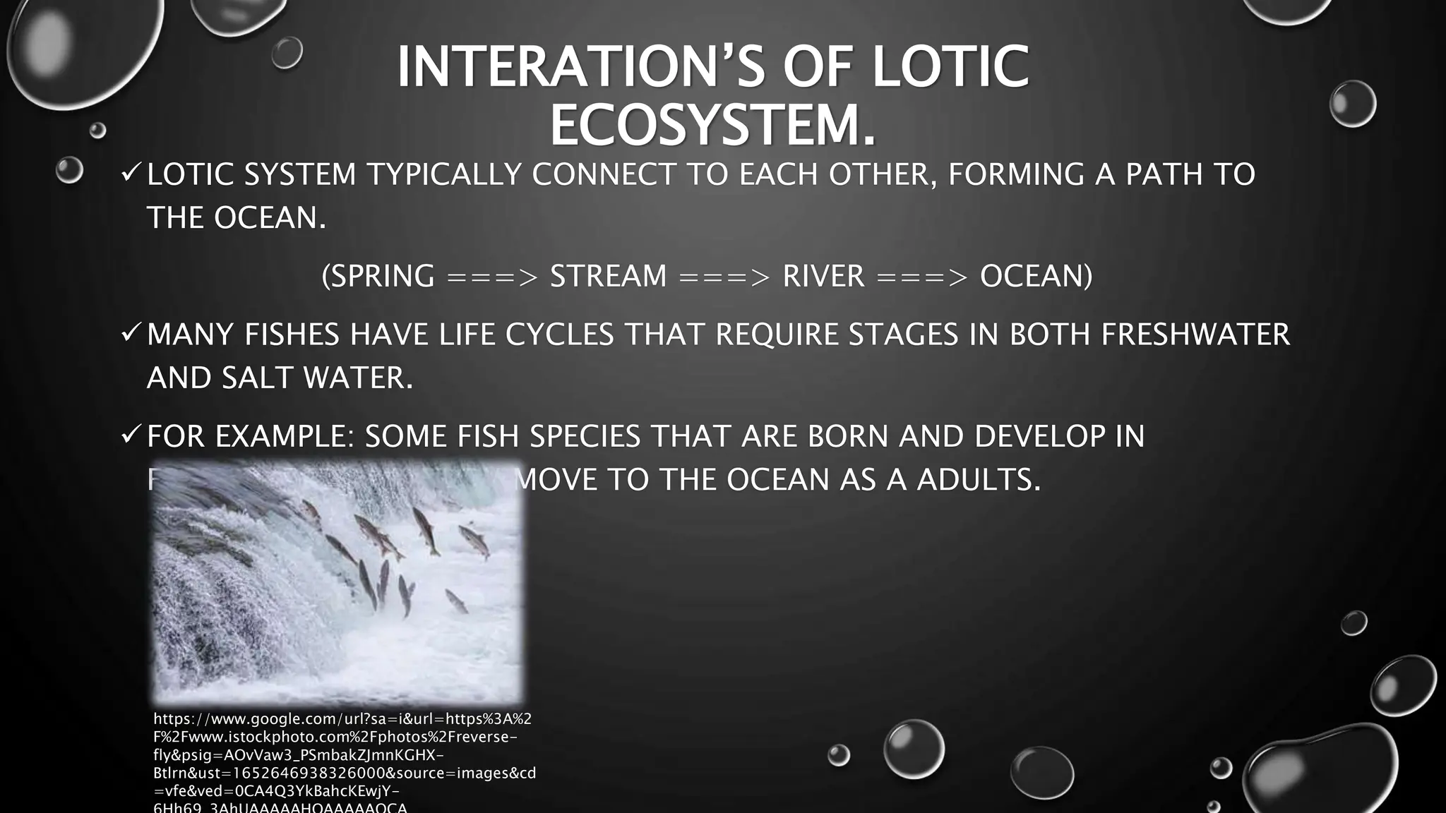 Lotic ecosystems. Fresh water existence then ppt.pptx