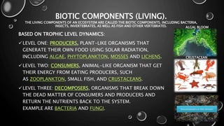 Lotic ecosystems. Fresh water existence then ppt.pptx