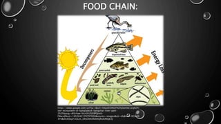 Lotic ecosystems. Fresh water existence then ppt.pptx
