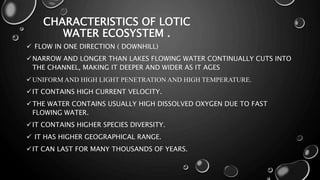 Lotic ecosystems. Fresh water existence then ppt.pptx