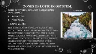 Lotic ecosystems. Fresh water existence then ppt.pptx