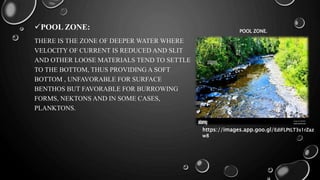 Lotic ecosystems. Fresh water existence then ppt.pptx