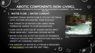 Lotic ecosystems. Fresh water existence then ppt.pptx