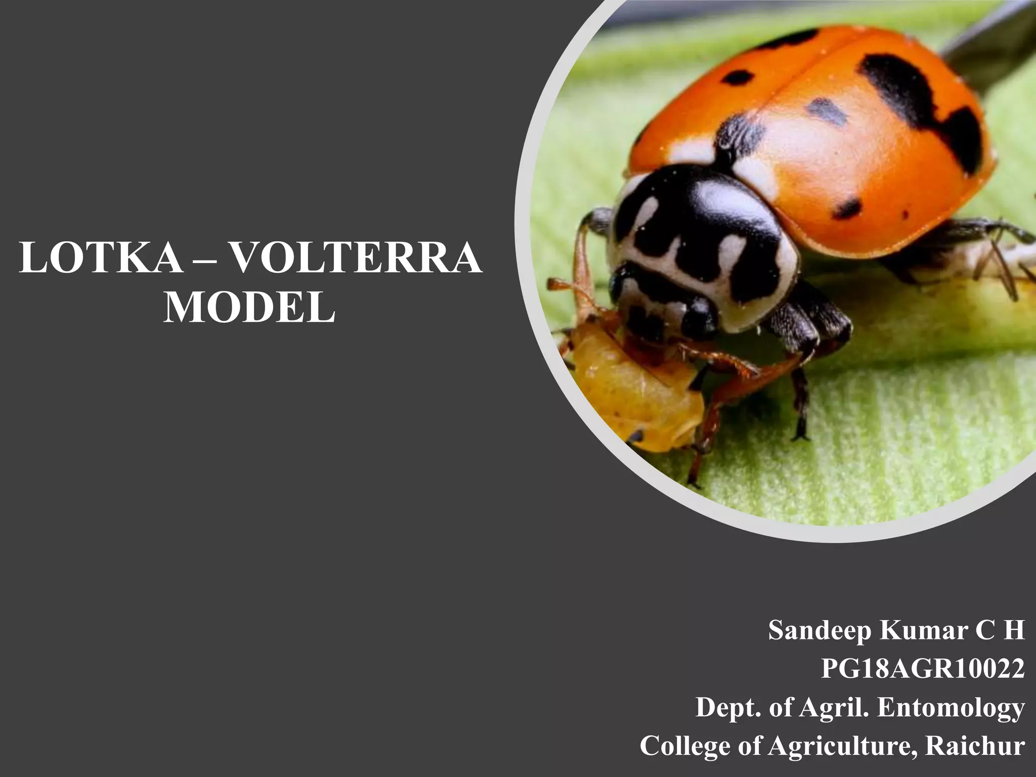 Lotka volterra model | PPTX