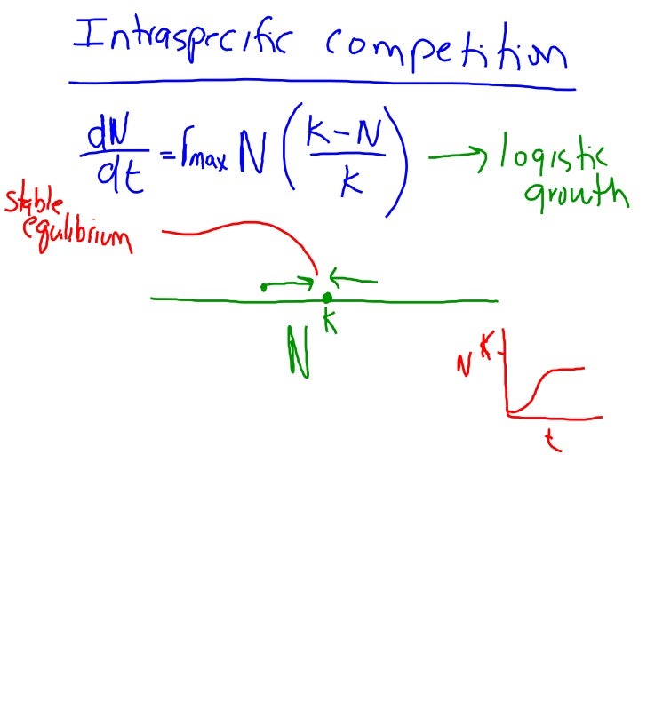 Lotka-Volterra Model of Competition