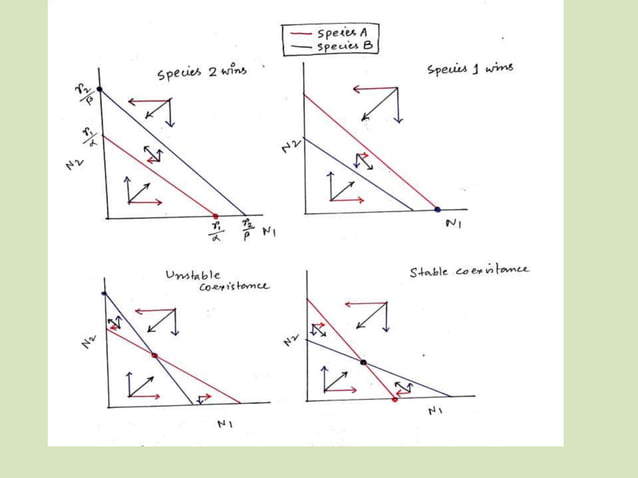 Lotka volterra model of competition