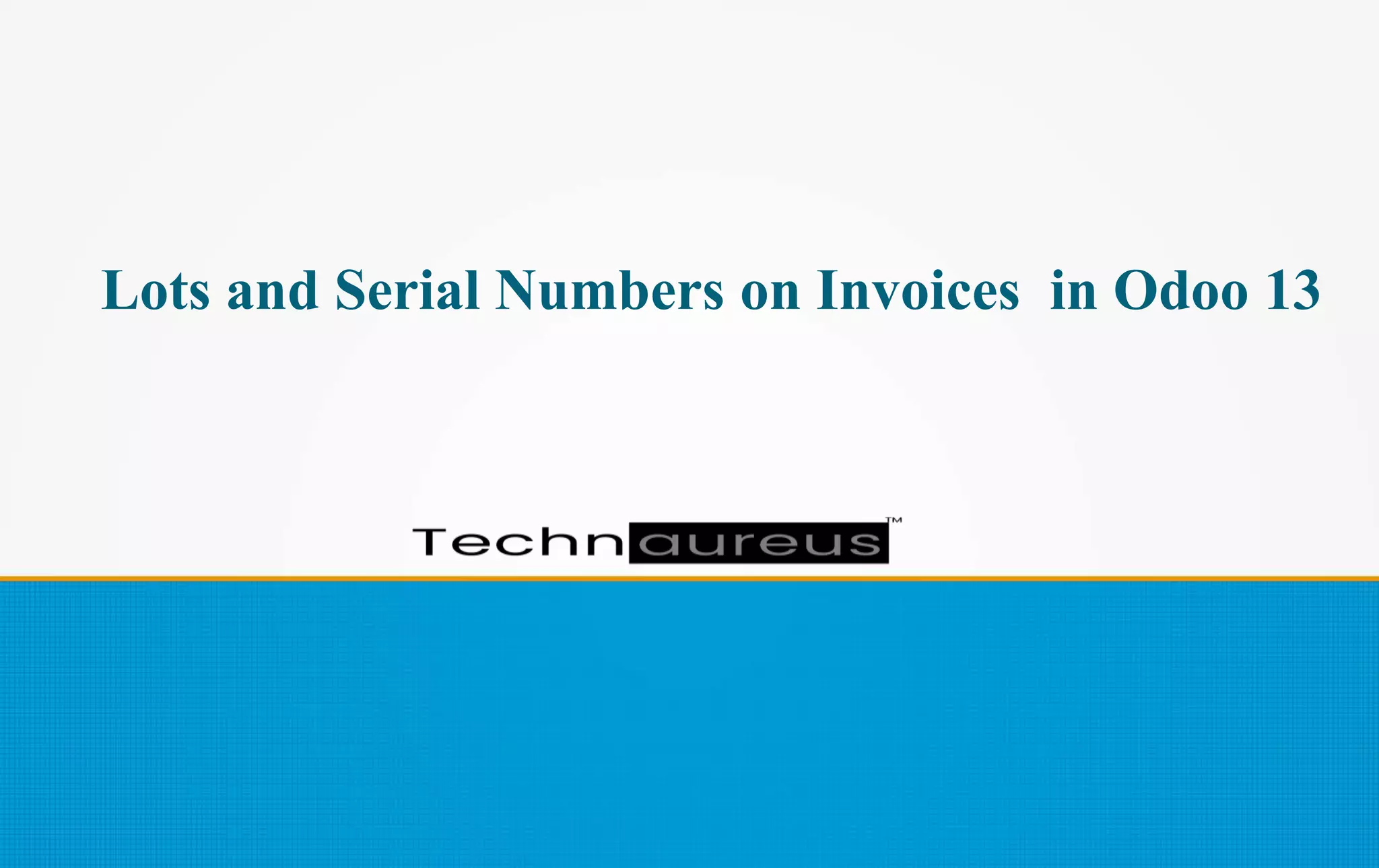 Lots and Serial Numbers on Invoices in Odoo 13 | PPT