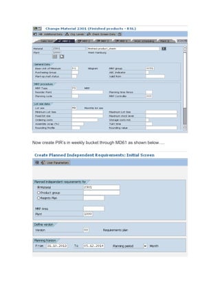 SAP CONSUMPTION BASED PLANNING LOT SIZE | DOCX