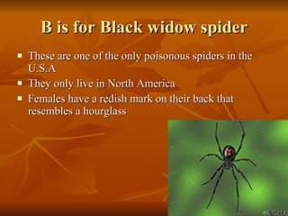 Lots Of Bugs Alphabet Book | PPT