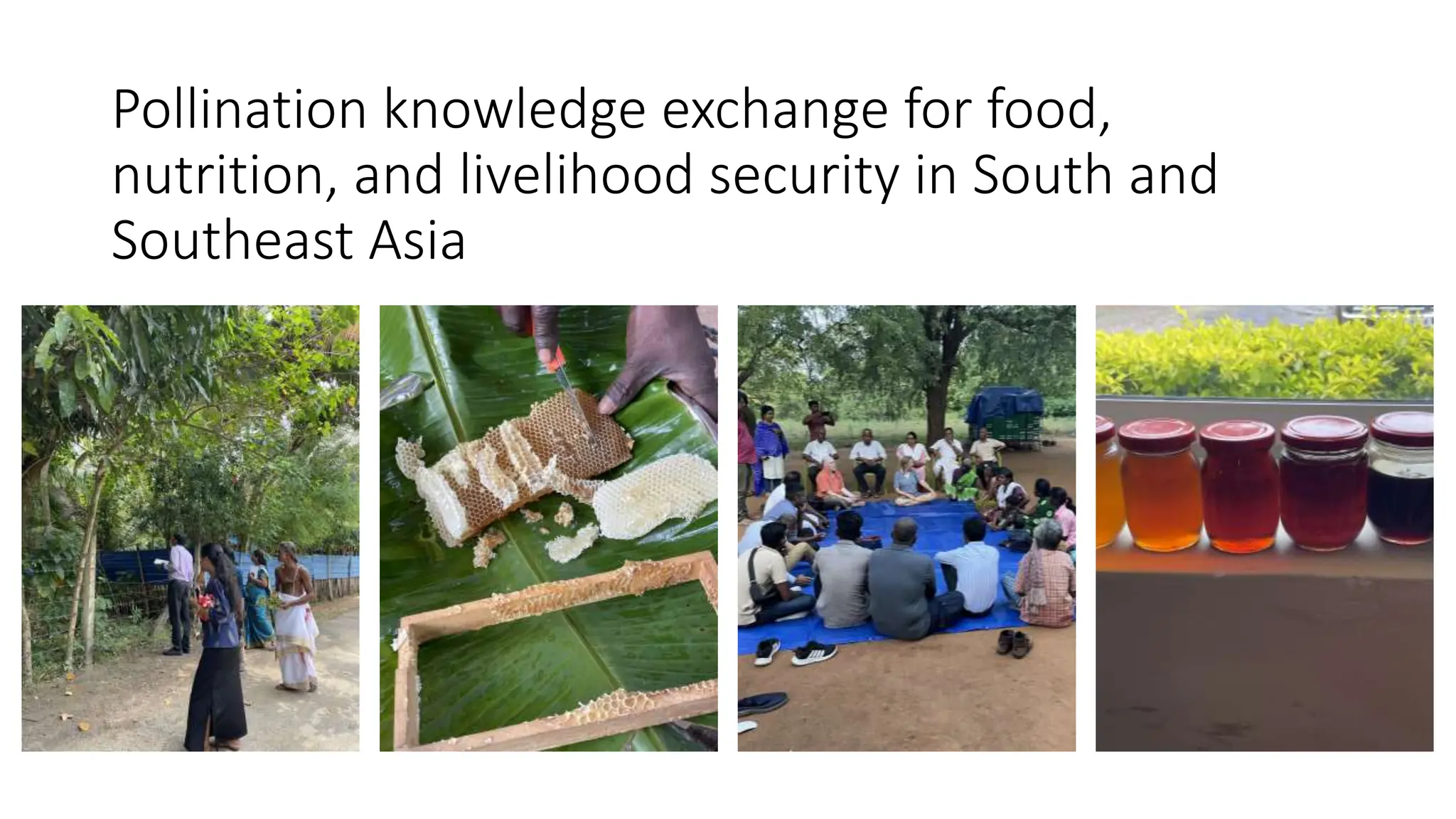 Pollination knowledge exchange for food, nutrition and livelihood ...
