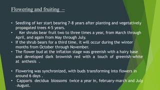 Ker production cultivation .pptx;''.pdf