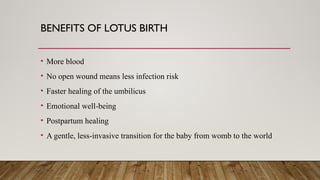 Lotus birth in normal labor - current trend.pptx
