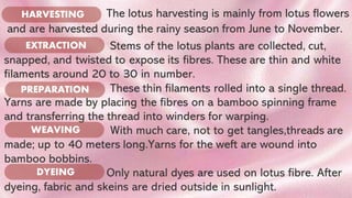 Lotus fibre | PPT