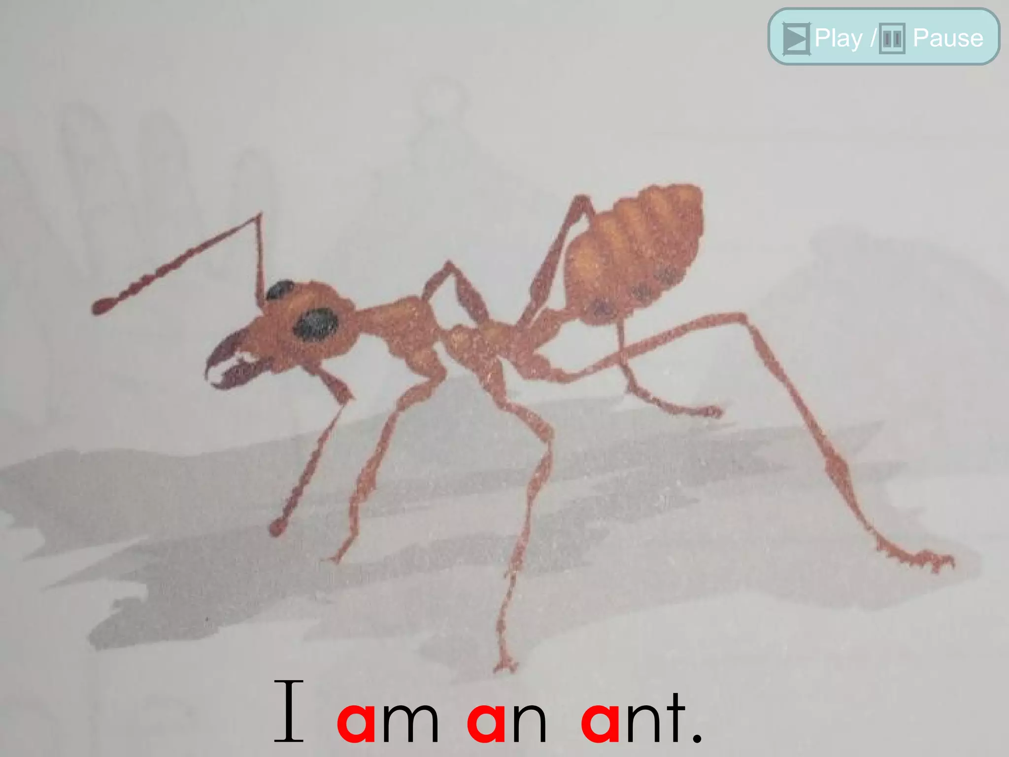 Lotus kindergarten phonics lesson 1 | PPT