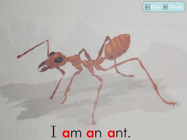 Lotus kindergarten phonics lesson 1 | PPT