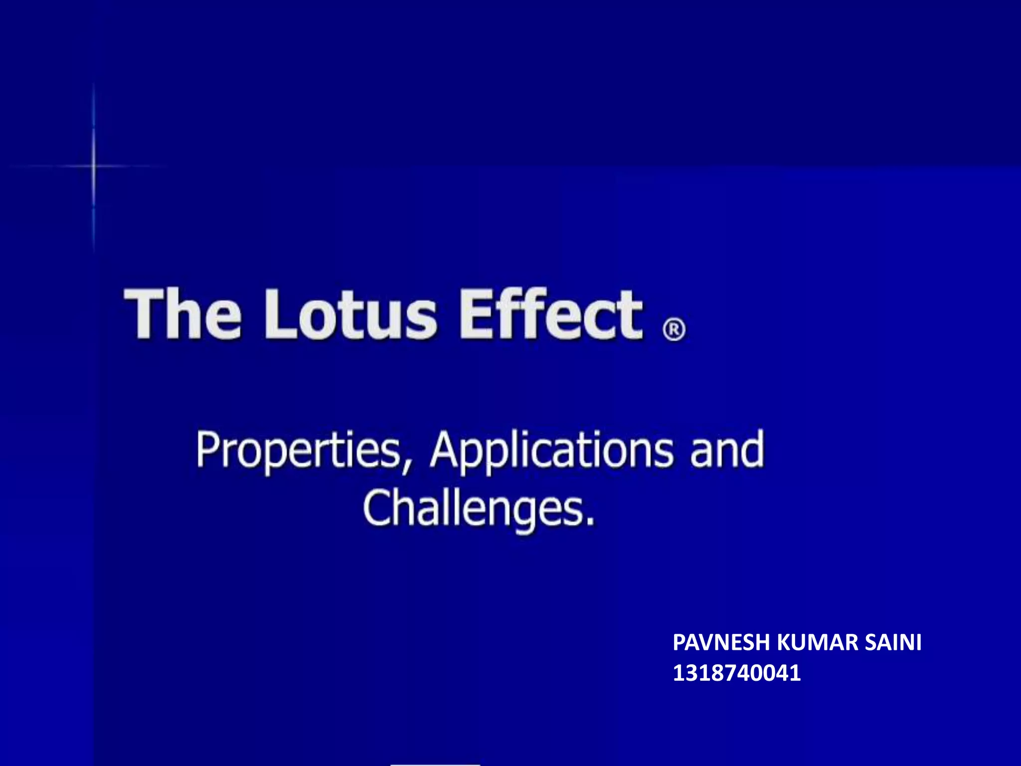 Lotus ppt | PPT