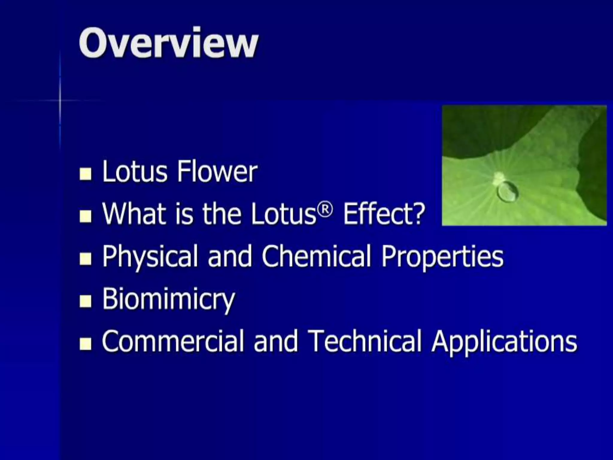Lotus ppt | PPT