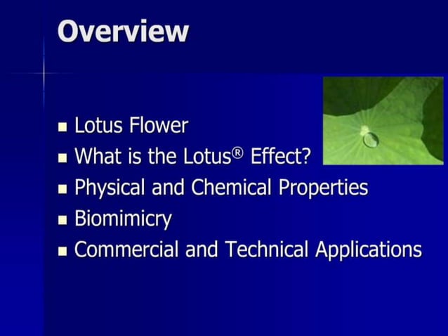 Lotus ppt | PPT | Free Download