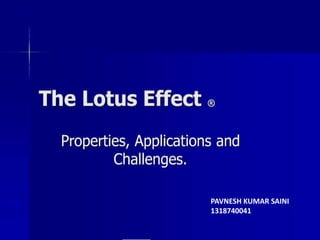 Lotus ppt | PPT