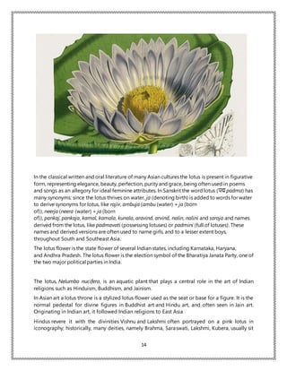 Lotus shaped temples of india | DOCX