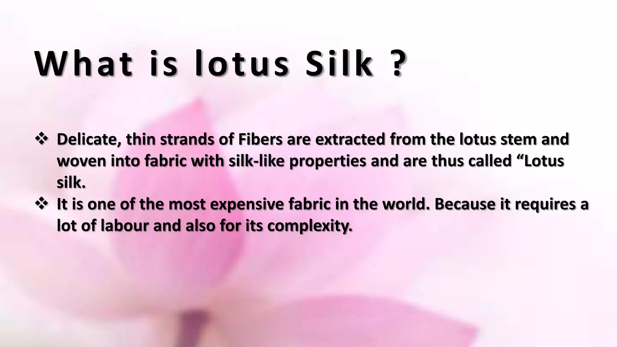 Lotus silk x (1).pptx