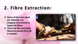 Lotus silk x (1).pptx