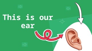 Hearing Sense: Identifying soft and loud sounds | PPTX