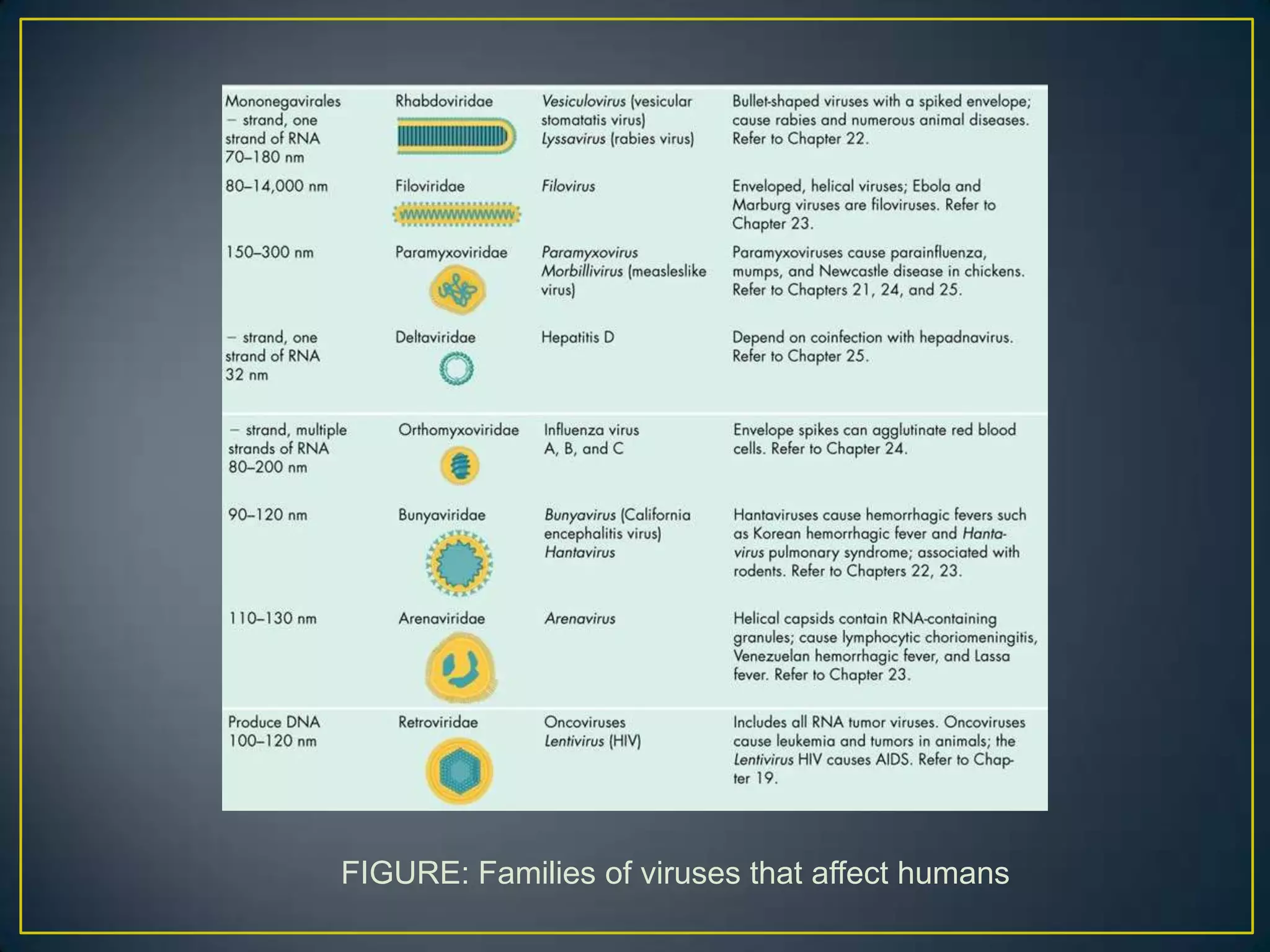 Microbiology - Noncellular Microbes - Louis Carlo Lim | PPT