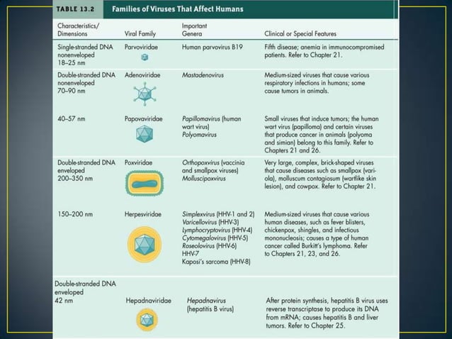 Microbiology - Noncellular Microbes - Louis Carlo Lim | PPT