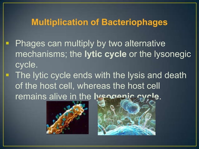 Microbiology - Noncellular Microbes - Louis Carlo Lim | PPT