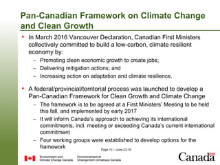 Louise Metivier, Chief Negotiator for Climate Change, Environment and ...