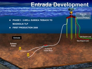 Louisiana Energy (Test) | PPT
