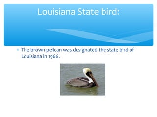 Louisianapowerpoint | PPT