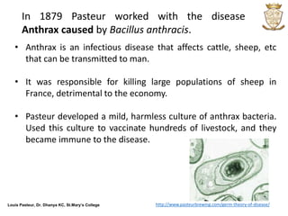 Louis Pasteur - Contributions to Science | PPTX
