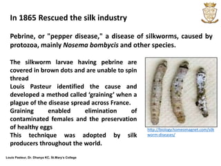 Louis Pasteur - Contributions to Science | PPTX