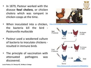 Louis Pasteur Experiment