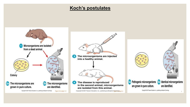 Louis pasteur and robert koch | PPTX